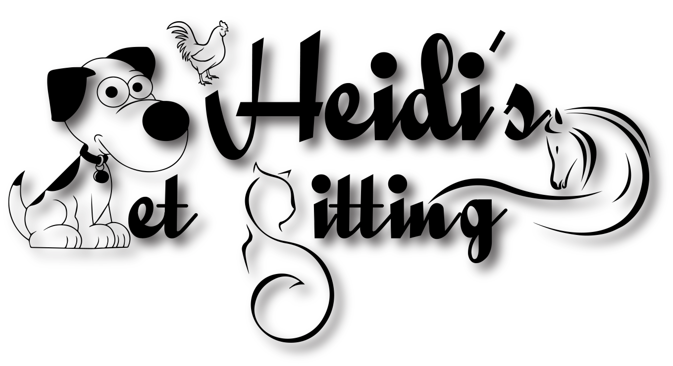 Heidi’s Pet Sitting